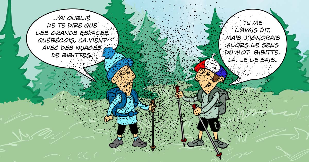 Bébitte ou maringouins : mots et expressions québécois