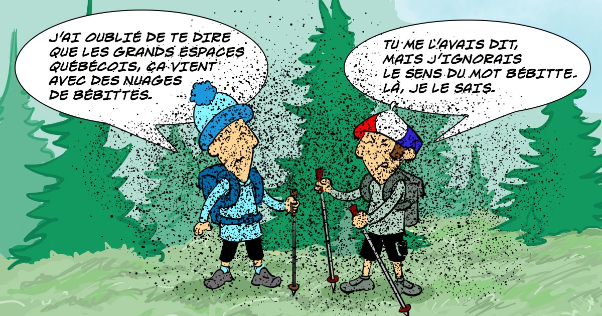 Bébitte ou maringouins : mots et expressions québécois