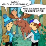 L’orignal, le caribou, le siffleux : les noms québécois des animaux